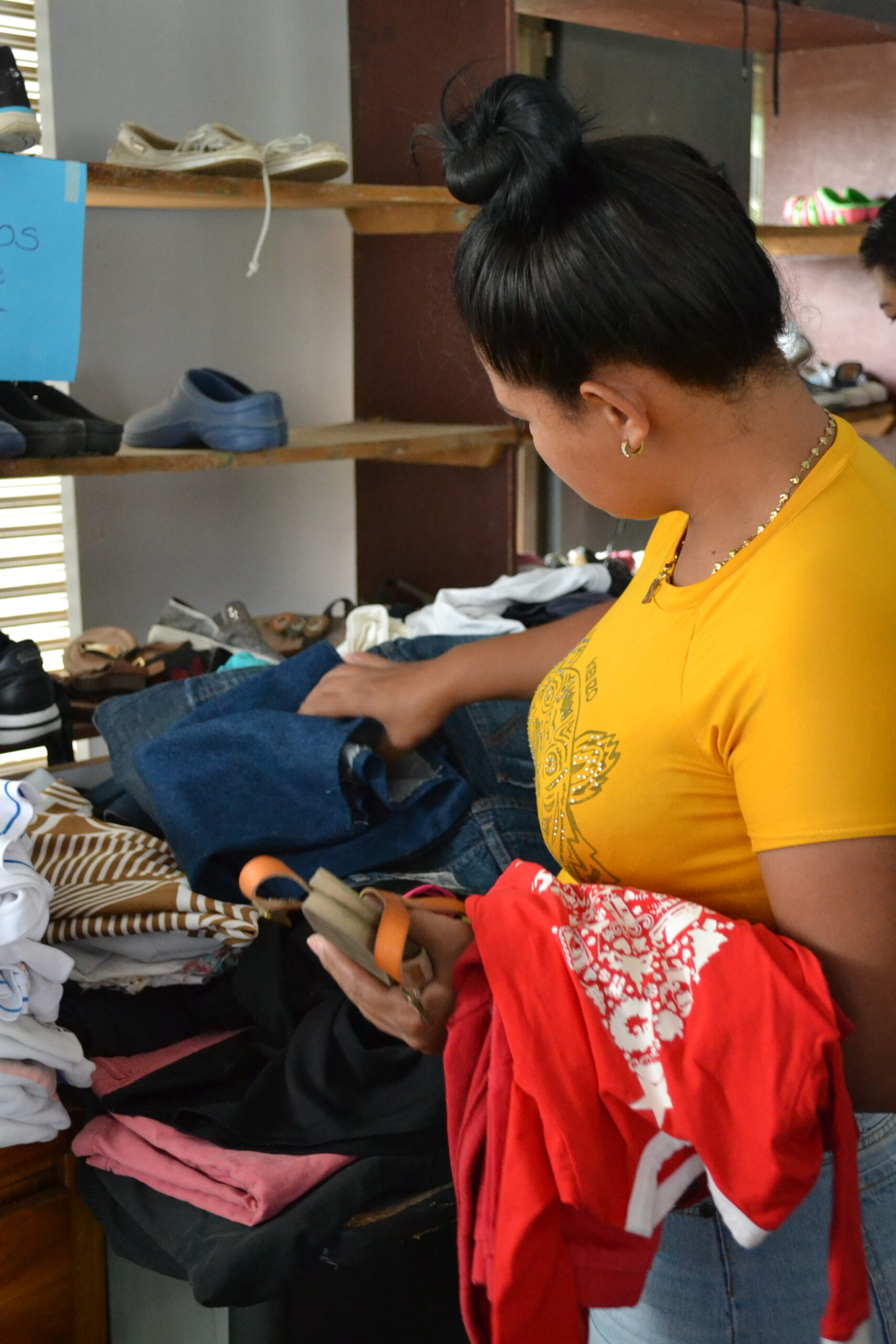 ¿Qué es un Pulguero de Ropa y Dónde Encontrar uno? - Agraf